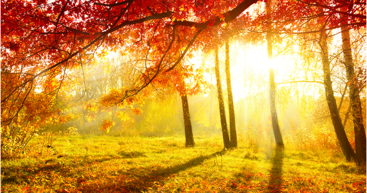 Autumn Outdoor Living Areas | Stefanos Landscaping | Saugus MA